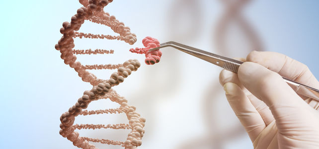 Gendefekt an menschlichen Embryonen mit Genschere repariert